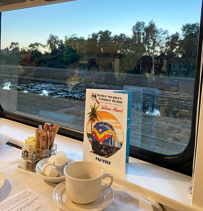 A perfectly framed window view with coffee at the ready &ndash; sometimes life's simplest pleasures are found in the spaces between destinations.