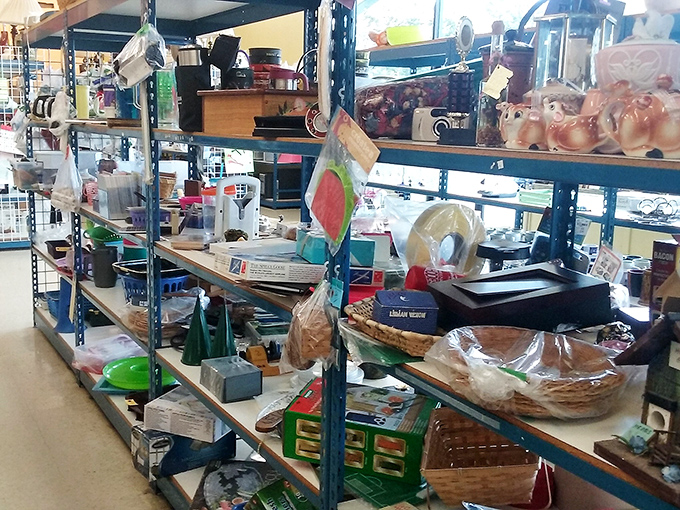 The miscellaneous aisle: where kitchen gadgets, decorative baskets, and mysterious objects wait for someone to exclaim, "I've been looking everywhere for one of these!"