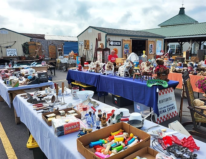 The outdoor market buzzes with the energy of possibility. Every table holds potential treasures, and every shopper carries the hope of finding that perfect something.