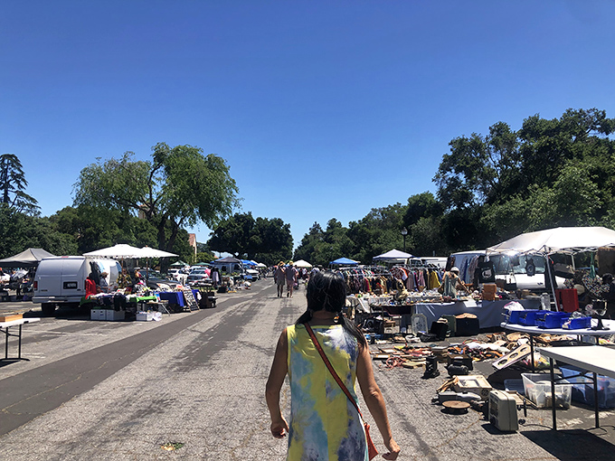 The grand boulevard of bargains stretches into the distance, where California sunshine illuminates a community's collective attic, one folding table at a time.