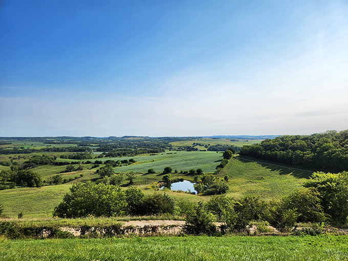 Not a special effect or a backdrop—just pure Illinois showing off what happens when glaciers decide to skip over a perfectly good piece of land.