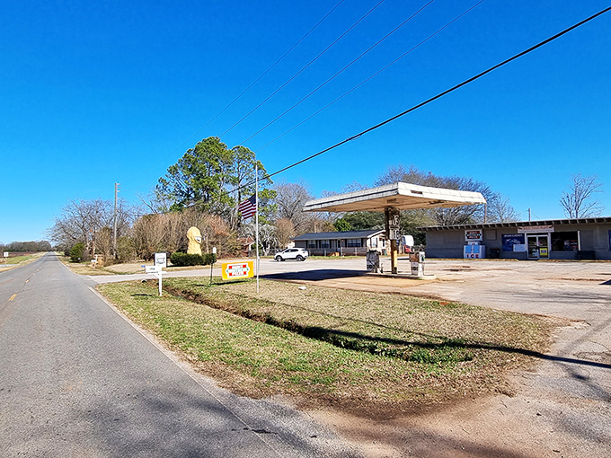 From the road, you might mistake it for a mirage, but that distant peanut silhouette promises roadside wonder just ahead.