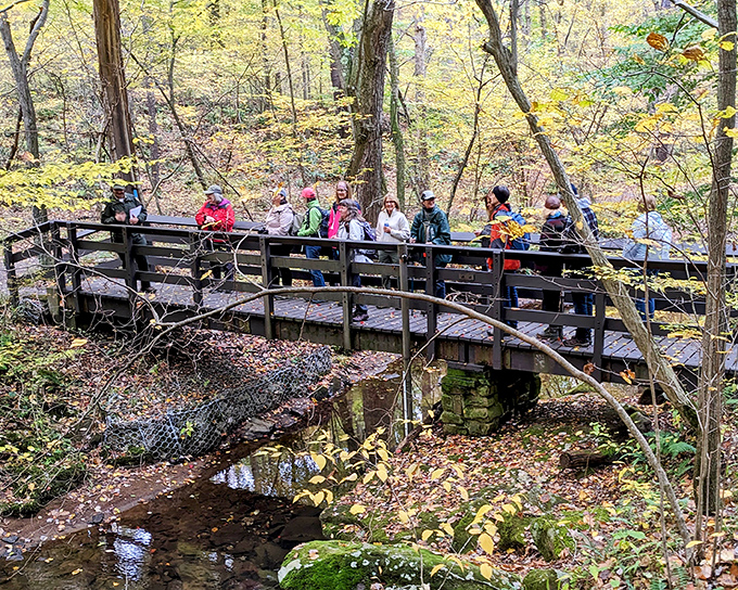 The ultimate classroom has no walls: school groups discover that learning about nature while actually in nature beats staring at screens any day of the week.