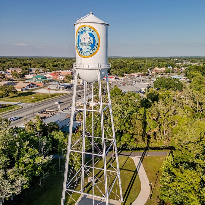 The iconic water tower stands as Crystal River's beacon – proudly displaying the manatee mascot that reminds visitors they're in nature's neighborhood now.