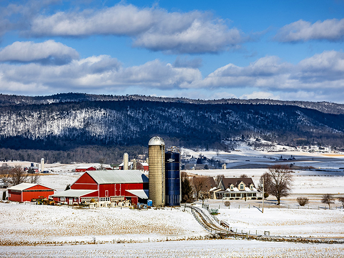 Winter transforms Belleville into a snow globe come to life, where red barns pop against white fields like holiday cards made real. 