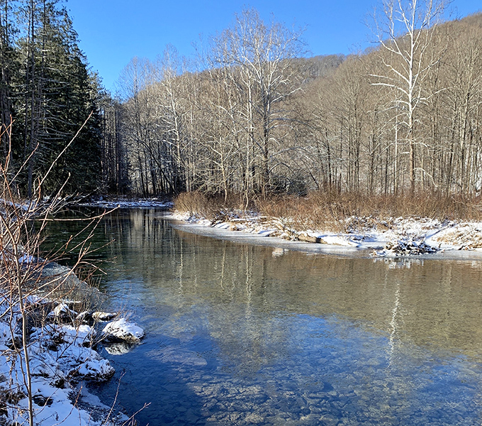 Winter transforms the creek into a crystal corridor, proving that Pennsylvania beauty doesn't take seasonal breaks.