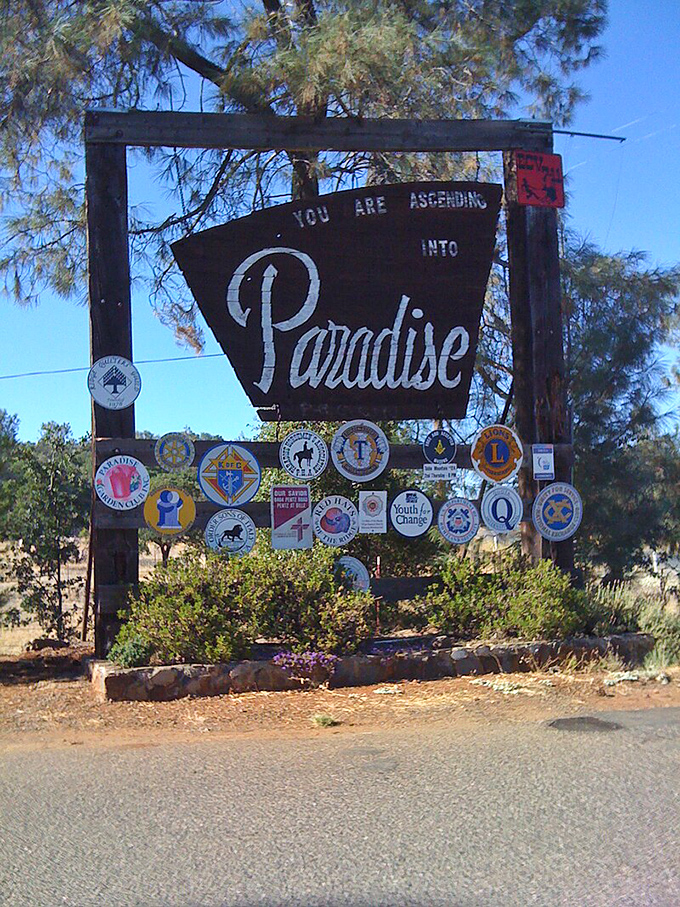 Mountain paradise indeed - where pine-scented air and rolling hills create California's perfect backdrop.