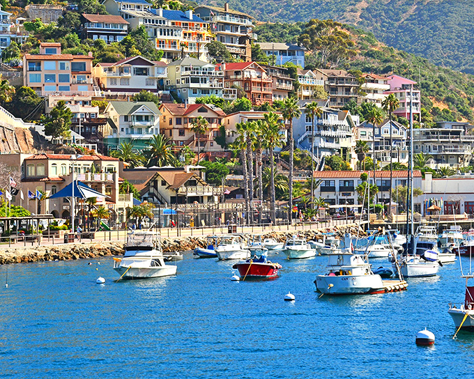 Avalon's colorful harbor creates a Mediterranean fantasy right off the California coast.