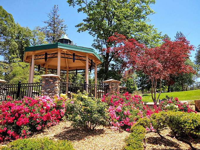Where every gazebo view reminds you why they call it Paradise.