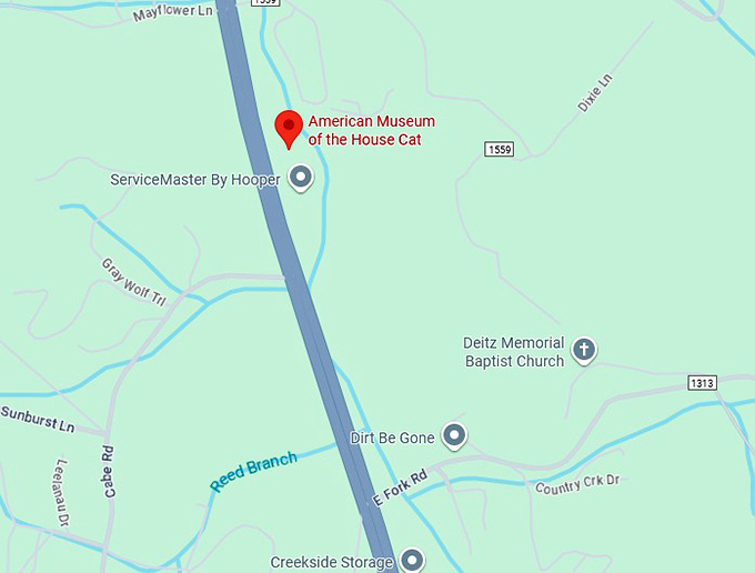 16. american museum of the house cat map