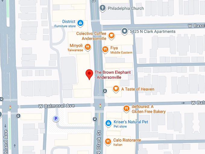 16. brown elephant map