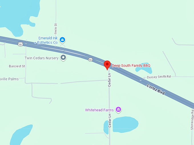 16. deep south family bbq map