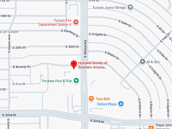 humane society of southern arizona thrift store map