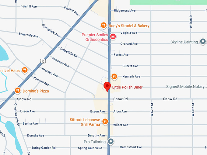 16. little polish diner map