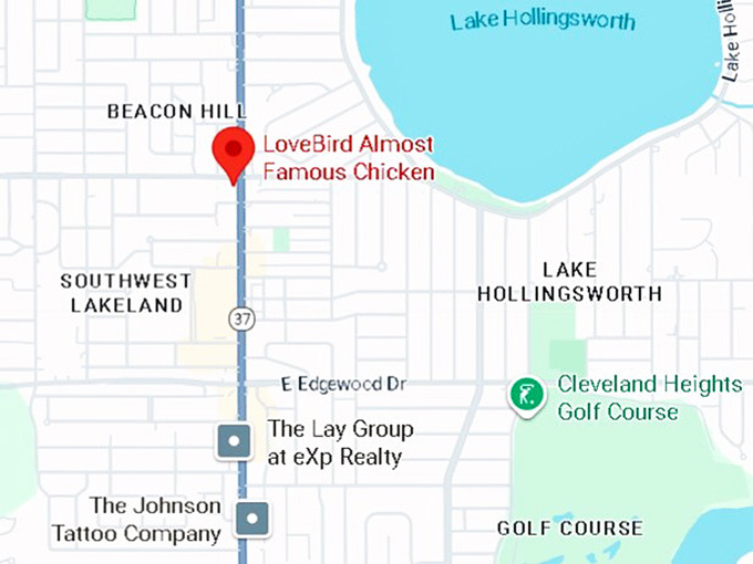 16. lovebird almost famous chicken map