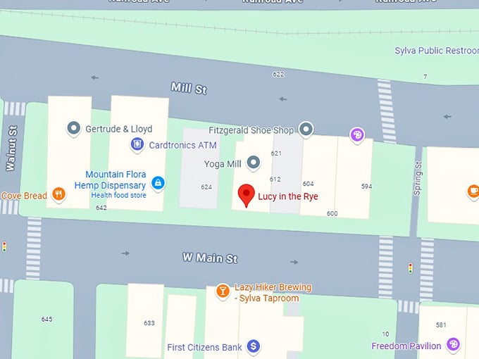 16. lucy in the rye map