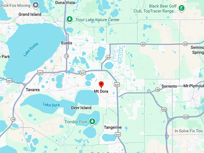 16. mount dora fl map