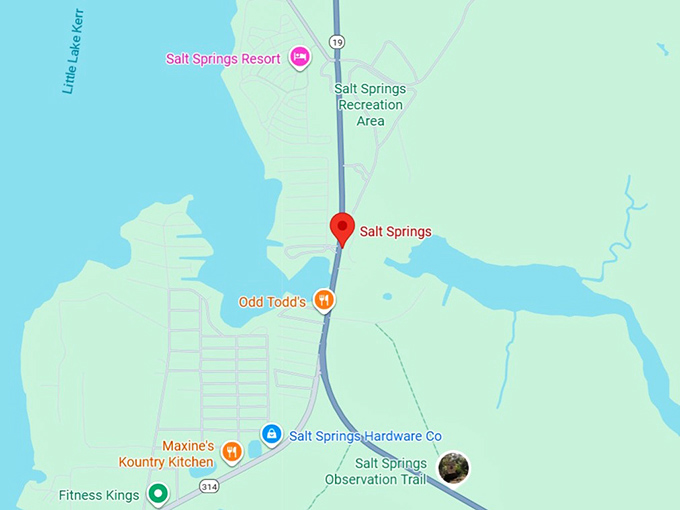 16. salt springs map