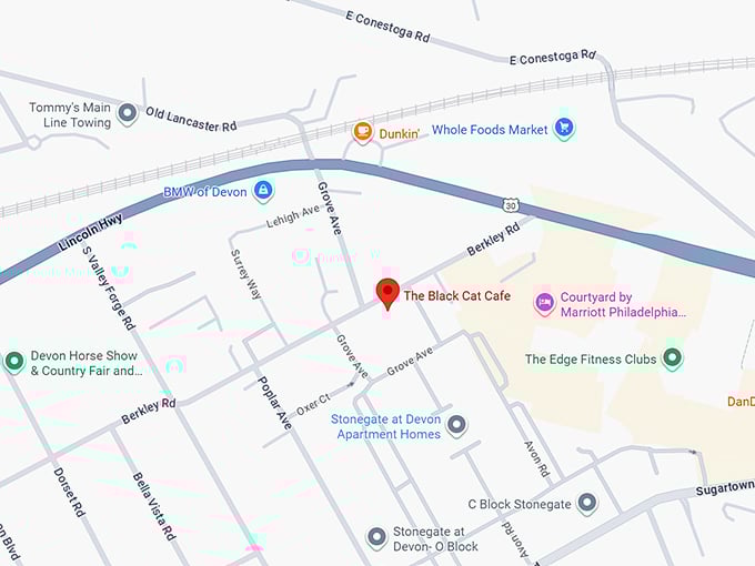 16. the black cat cafe map