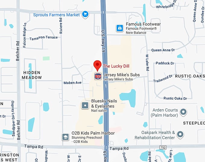 16. the lucky dill map