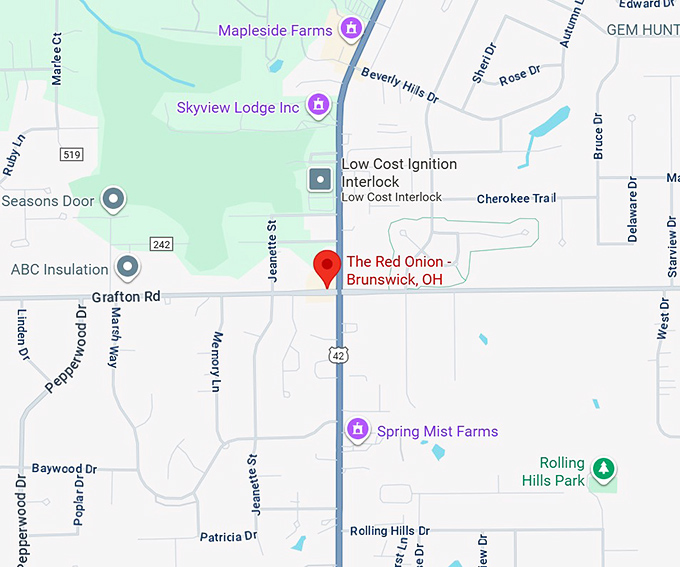 16. the red onion brunswick, oh map