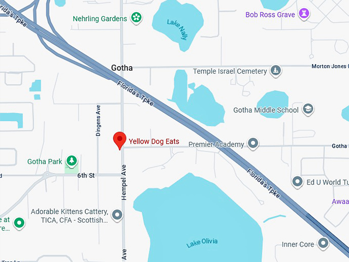 16. yellow dog eats map