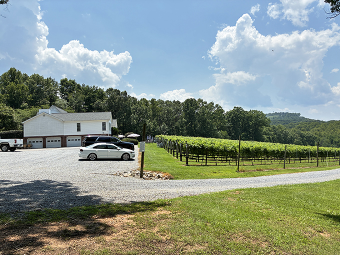 Lush grapevines at Fables & Feathers Winery greet you beside a bright white building under a vast, cloud-filled summer sky.