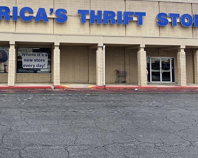 That blue sign promises "a new store every day" - and honestly, they're not kidding around here.