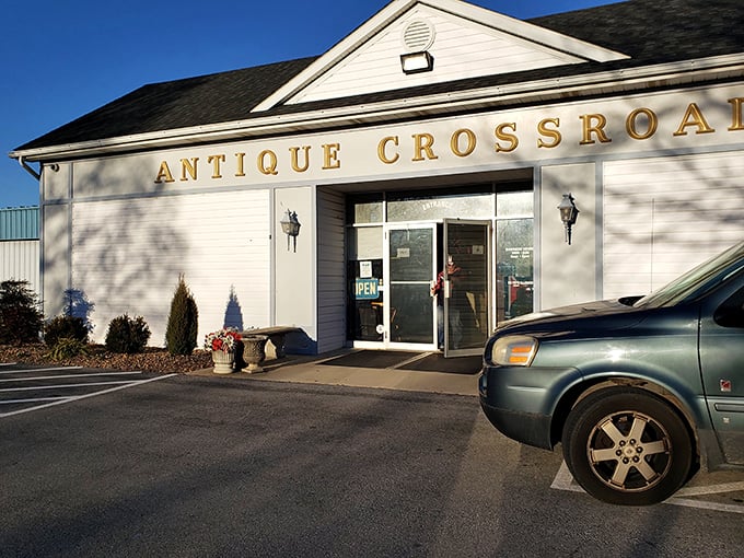 That classic white building with golden letters promises treasures that'll make your heart skip a beat.