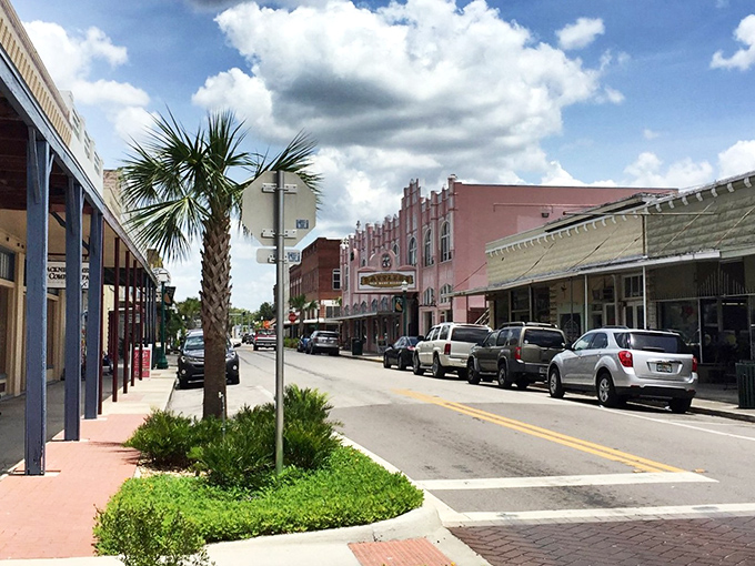 Historic Arcadia's downtown looks like a movie set where time decided to take a permanent vacation. Palm trees and pastel storefronts create small-town magic.