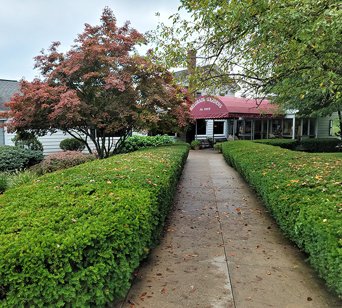That red awning beckons like a beacon of comfort food, promising homestyle treasures within those welcoming walls.