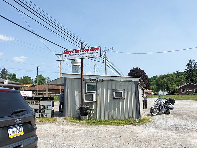 Proof that culinary greatness doesn't require fancy digs. Bert's tiny roadside shack has been making hot dog dreams come true longer than most chain restaurants have existed.