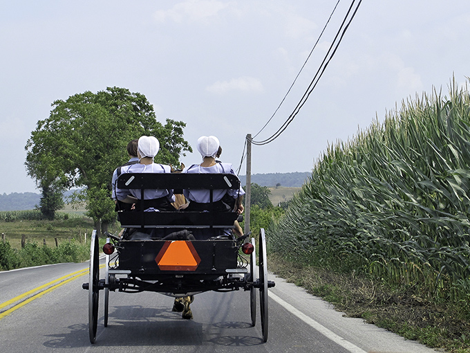 A glimpse of simpler times: Amish buggy travelers navigate country roads where the pace of life moves at horse-speed.