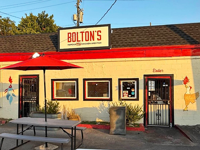 Bolton's humble exterior whispers promises of fiery chicken adventures that'll make your taste buds sing gospel.