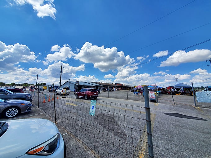Picture this: acres of treasure hunting under those perfect Texas clouds, where every parking spot leads to adventure.
