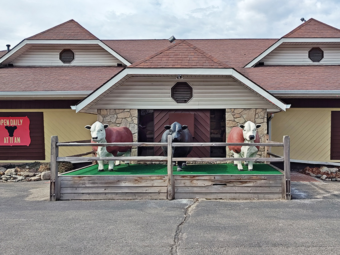 Those eye-catching cows out front aren&rsquo;t just decoration &ndash; they&rsquo;re promising you the real deal inside.