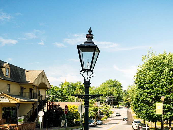 Dahlonega's charming streets welcome you with old-fashioned lampposts and mountain town magic that money can't buy.