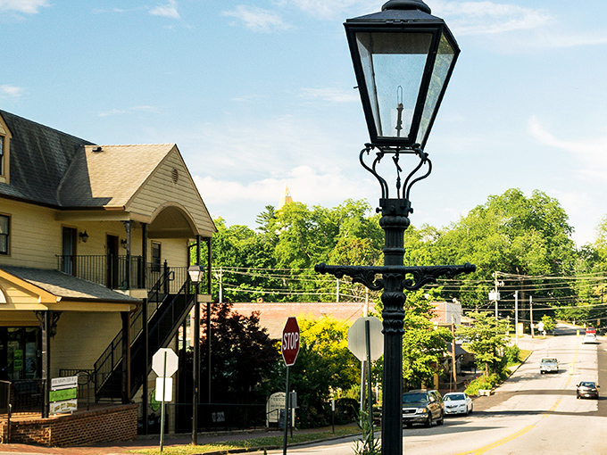 Dahlonega's charming streets whisper tales of gold rush dreams and mountain magic.