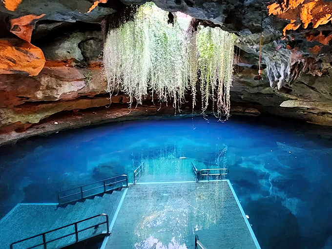 "Nature's own light show! Those hanging vines create a magical chandelier effect over water so blue it looks like someone spilled Caribbean Sea samples in central Florida."