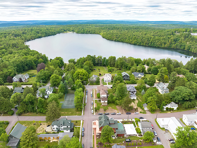 Aerial view of paradise! This pristine lake surrounded by lush forest looks like Mother Nature's own infinity pool.