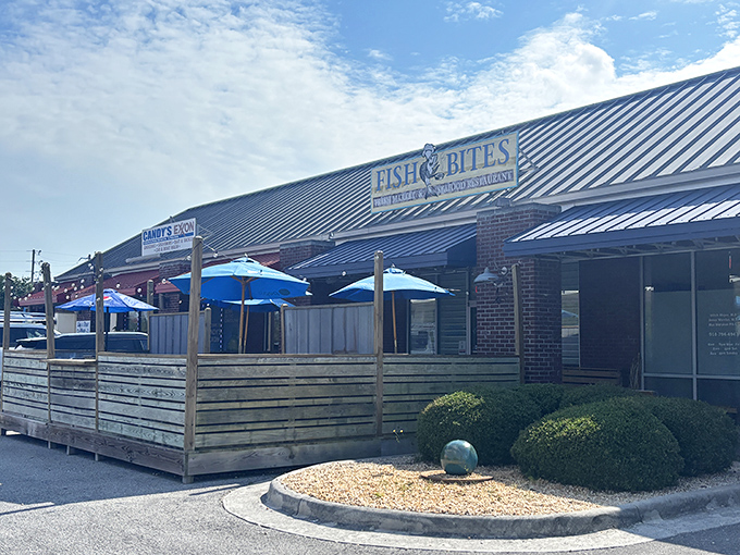 Sometimes the best seafood joints hide behind the most unassuming facades - pure coastal magic awaits inside.