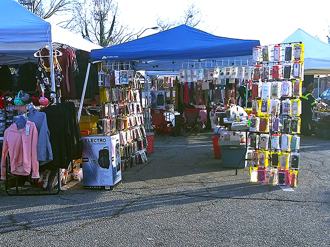 Phone cases and cleaning supplies create a colorful outdoor bazaar where bargain hunting becomes pure art.