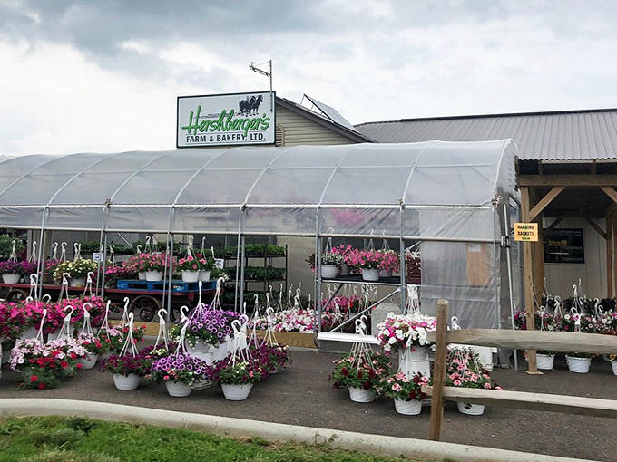 Welcome to pie paradise, where greenhouse flowers greet you before the sweet aromas inside steal your heart completely.