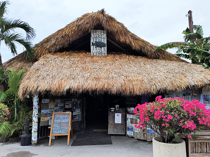 The thatched roof says "tropical getaway," but the hogfish sandwich screams "get in my belly now!" Pure Florida paradise.