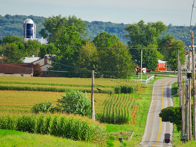 Rolling hills and country roads create the perfect backdrop for a leisurely Amish country adventure.