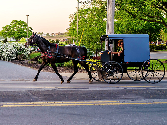 A classic Amish buggy in motion - where horsepower has nothing to do with engines and everything to do with actual horses!