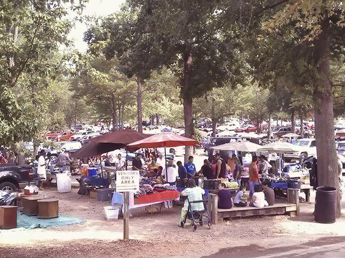 Picture this: a classic Southern flea market where shade trees and friendly faces create the perfect treasure hunting atmosphere.