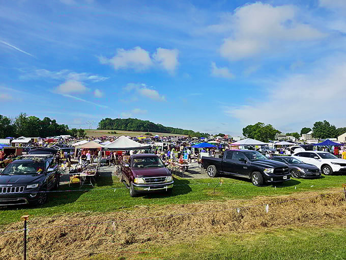 Acres of treasure hunters converge where deals bloom like wildflowers across Pennsylvania's countryside.