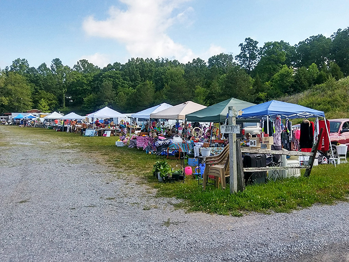 Rows of colorful tents stretch across green fields like a treasure hunter's dream come true.