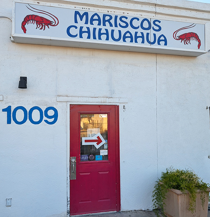 Sometimes the best treasures hide behind the most unassuming doors in Tucson. 